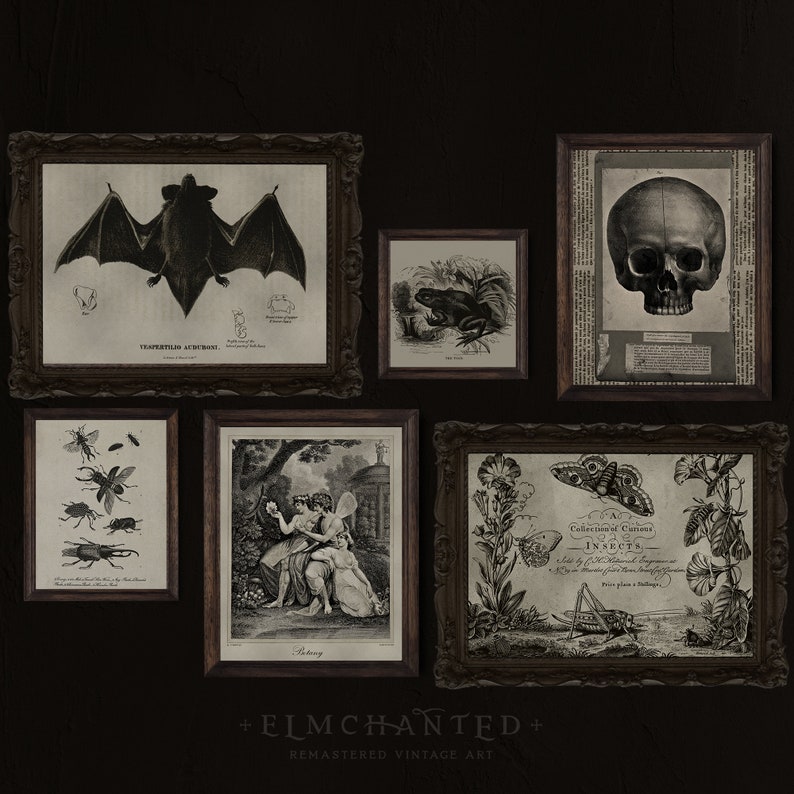 Set of 6 Vintage Dark Academia Prints Vintage Room Decor Aesthetic ...
