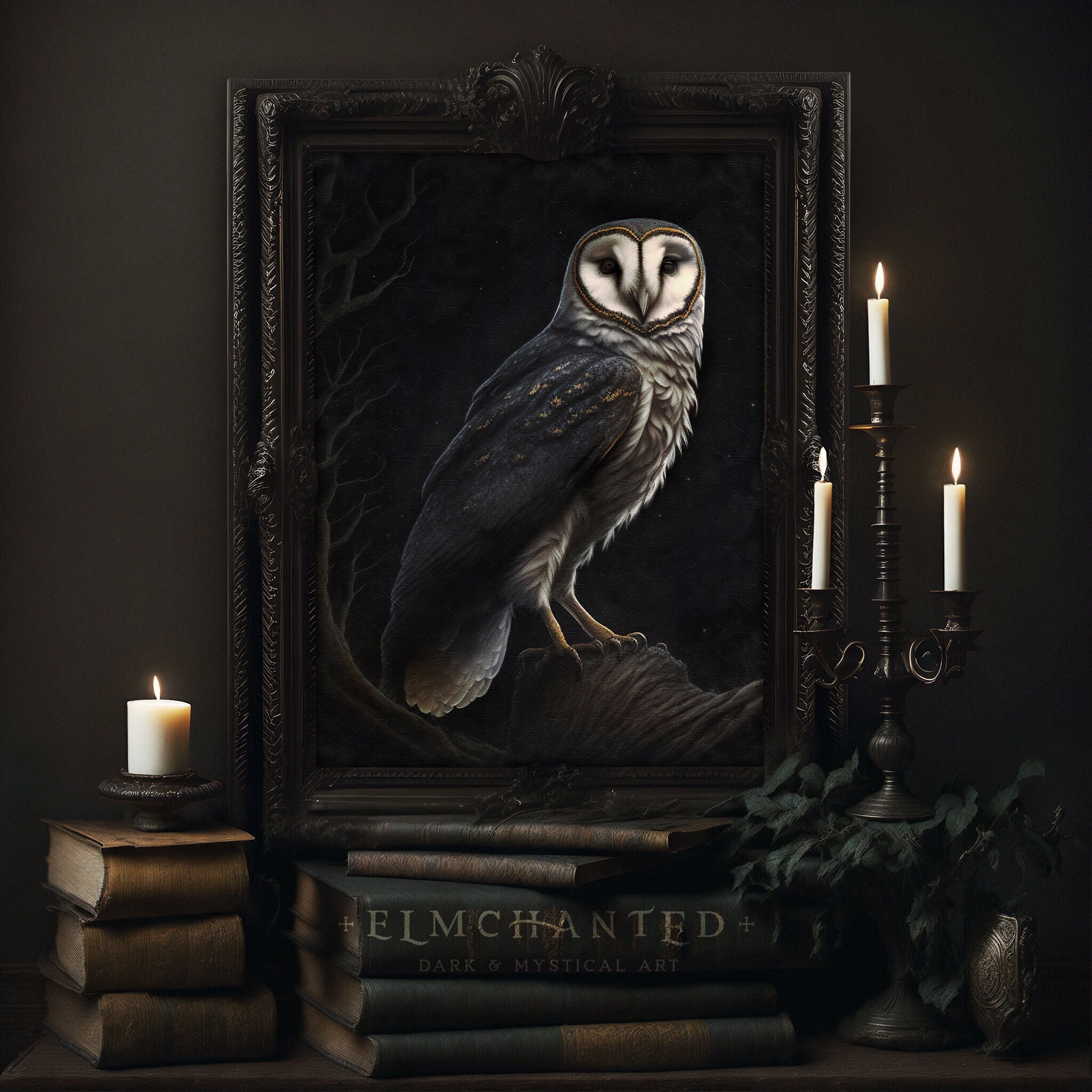 Dark Night Owl