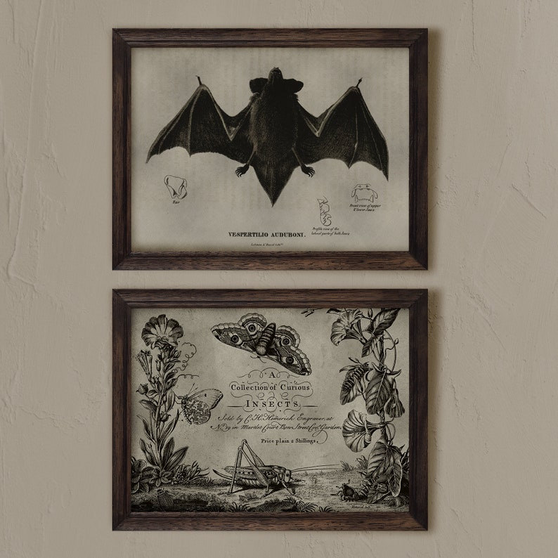 Set of 6 Vintage Dark Academia Prints Vintage Room Decor Aesthetic ...