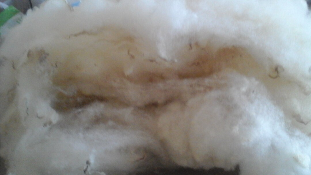 BERRICHON Du Cher Sheep WASHED Fibre - Etsy