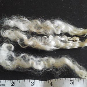 WENSLEYDALE Locks, White Sumptuous Washed Locks British Conservation ...