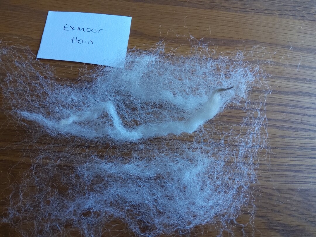 DEVON Breed Sample Taster Pack, Devon Closewool, Exmoor Horn, Grey ...