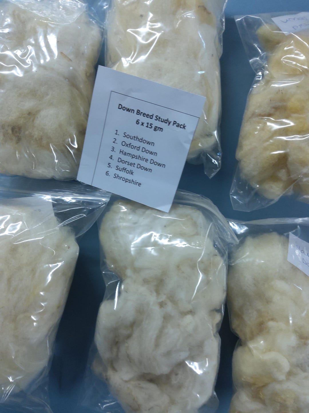 British Down Breed Wool Taster Pack: 6 Rare Sheep Fleeces - Etsy UK