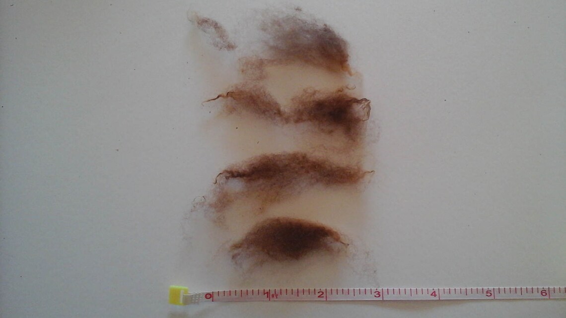 Wool CASTLEMILK MOORIT RAW Whole Fleece British Conservation Rare Breed ...
