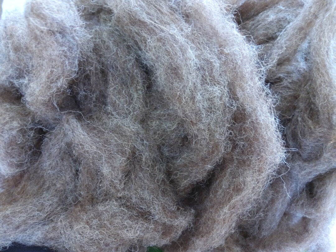 LAVENDER JACOB Sheep HANDSPUN Fawn British Rare Breed Fleece - Etsy