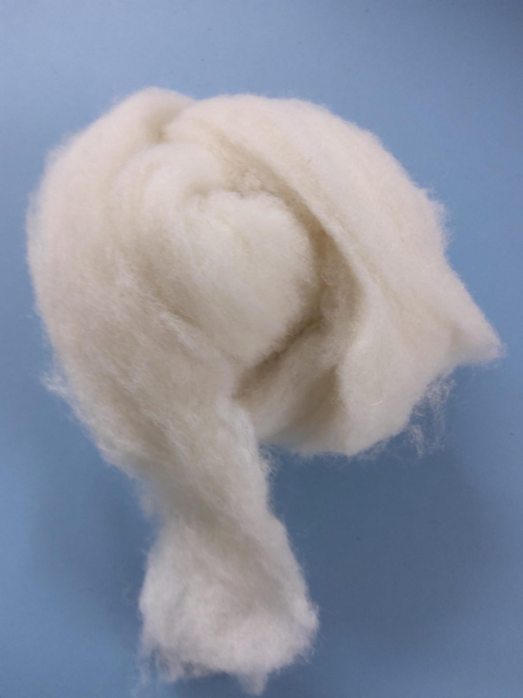 DEVON CLOSEWOOL Rovings Rare Breed British Minority Status - Etsy
