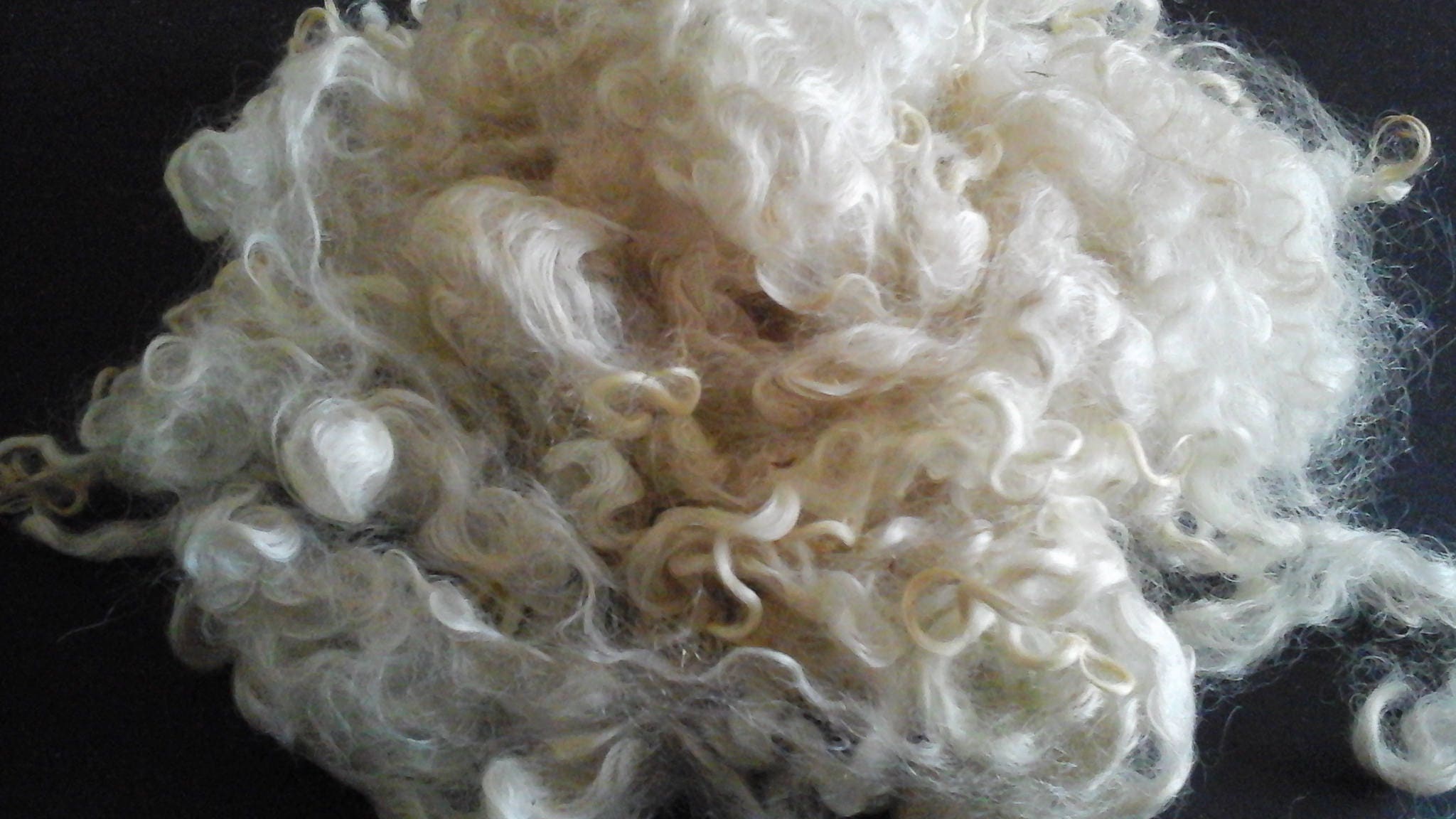 WENSLEYDALE Locks White Sumptuous Washed Locks British - Etsy