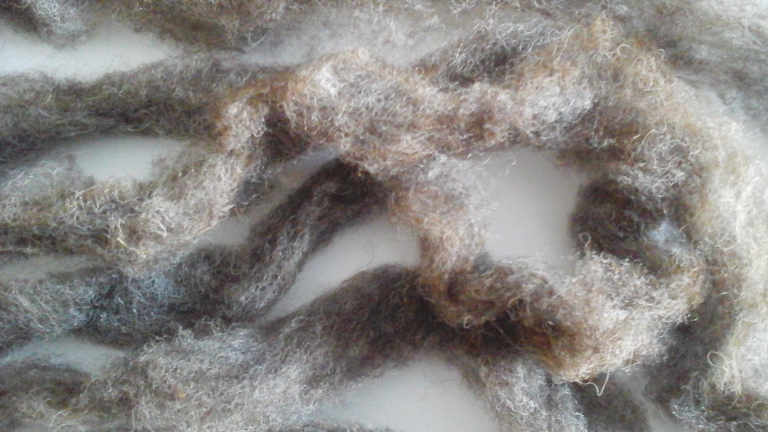 SHETLAND Fleece Pale Grey, Supersoft Washed Fleece From a British Rare ...