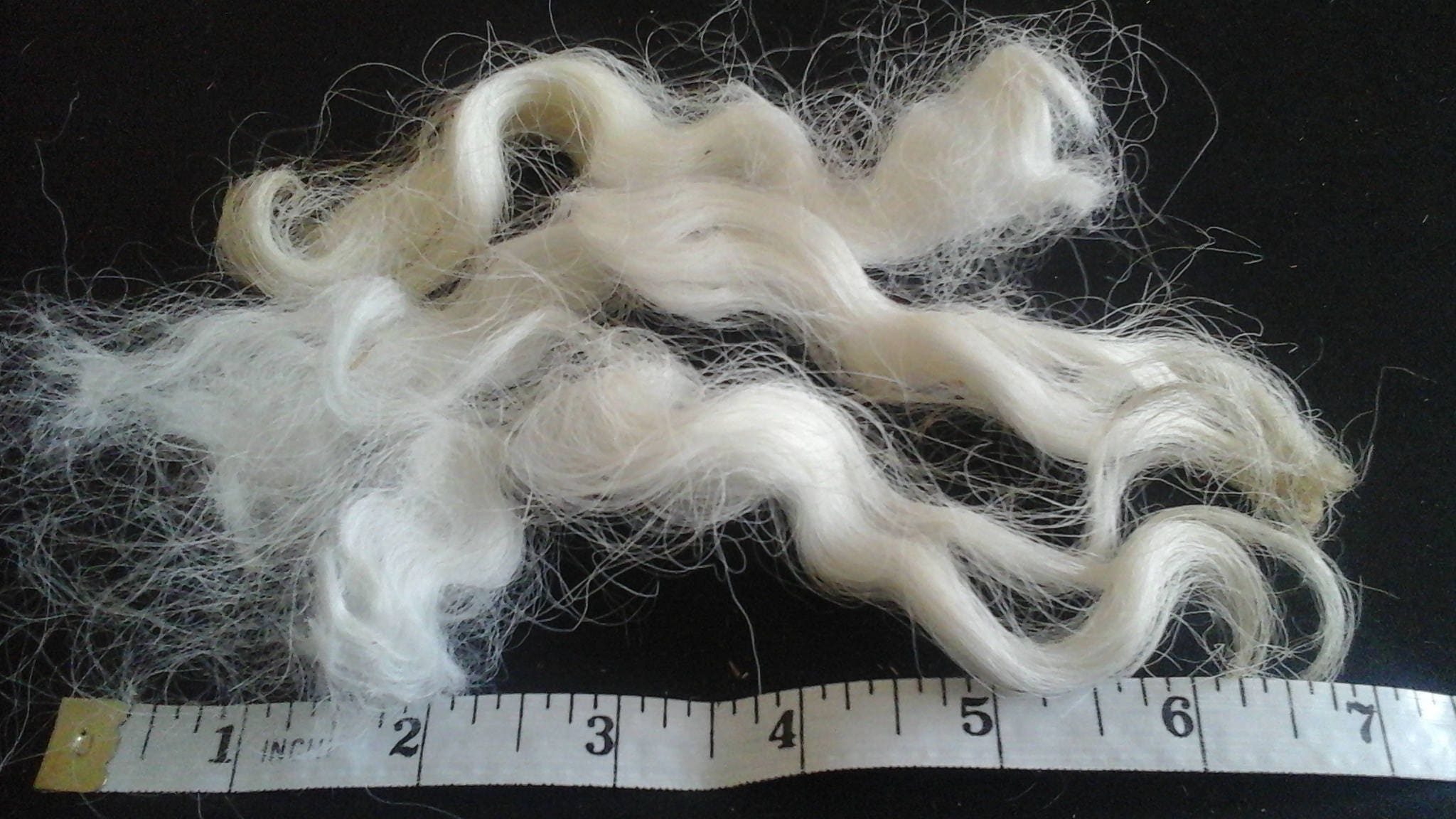 DEVON and CORNWALL LONGWOOL British Rare Breed Vulnerable - Etsy UK