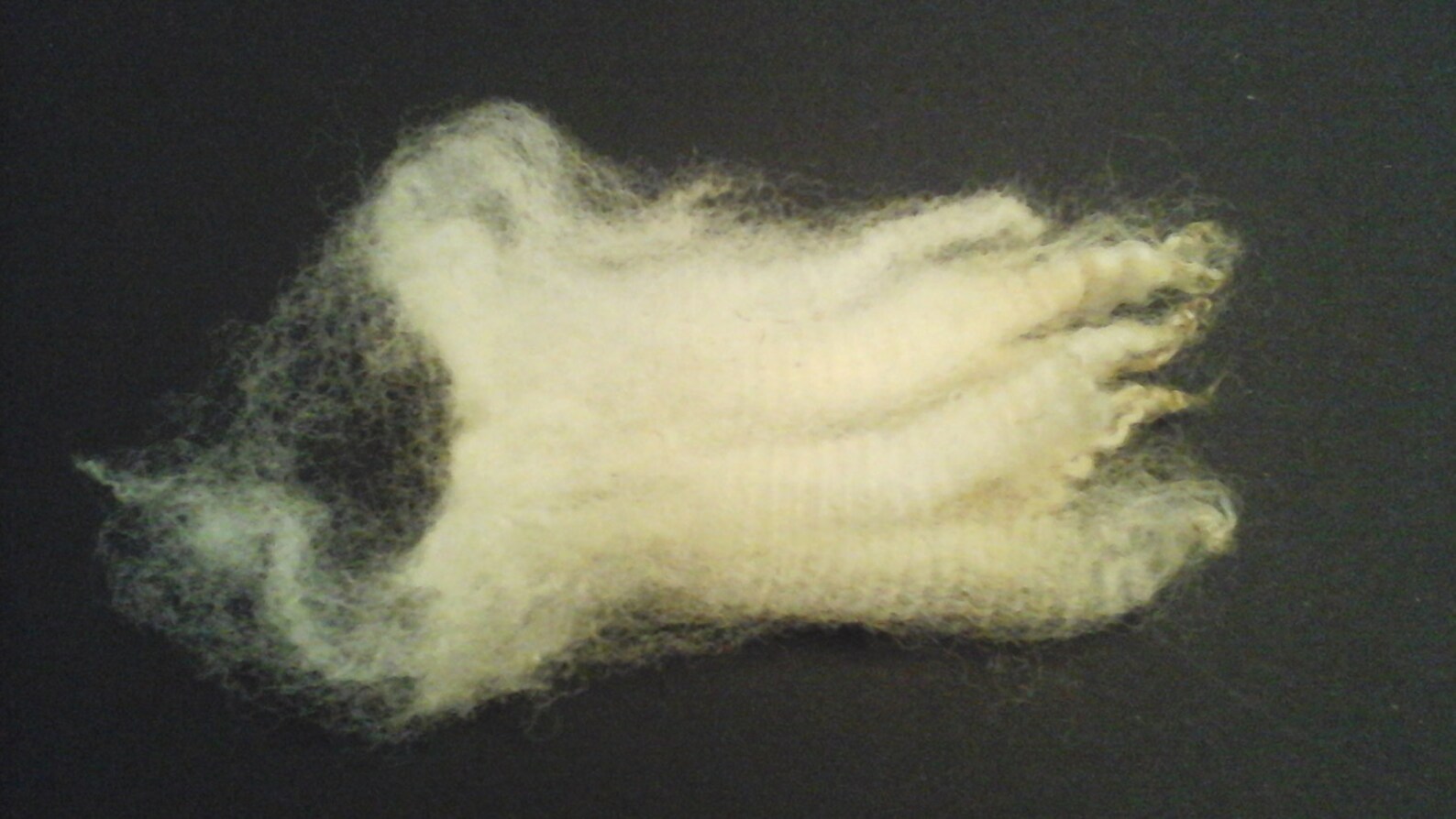 LLANWENOG WASHED FLEECE British Conservation Rare Breed at - Etsy