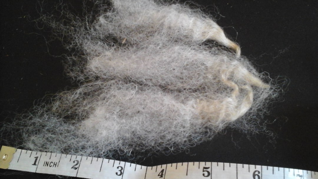 DEVON CLOSEWOOL British Rare Breed Minority Status Washed Fleece - Etsy