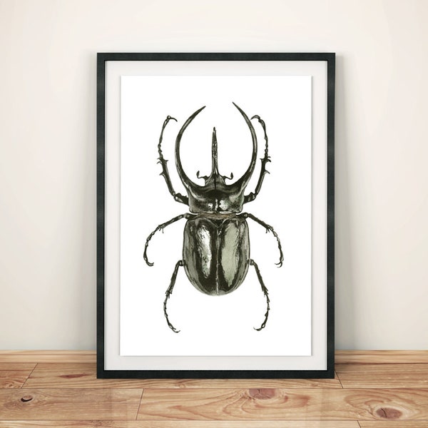 Atlas Beetle - Etsy