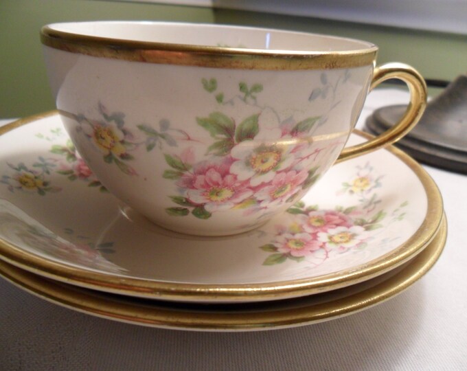 Vintage T P C-O Co. Salineville, Ohio Teacup and Saucer Set of Three 3 ...