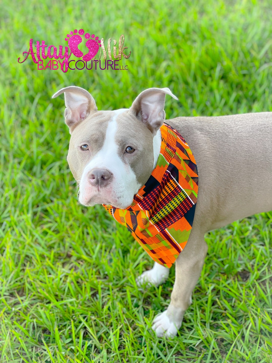 African Dog Scarf. African Dog Bandana. African Dog Scarf . African Dog ...