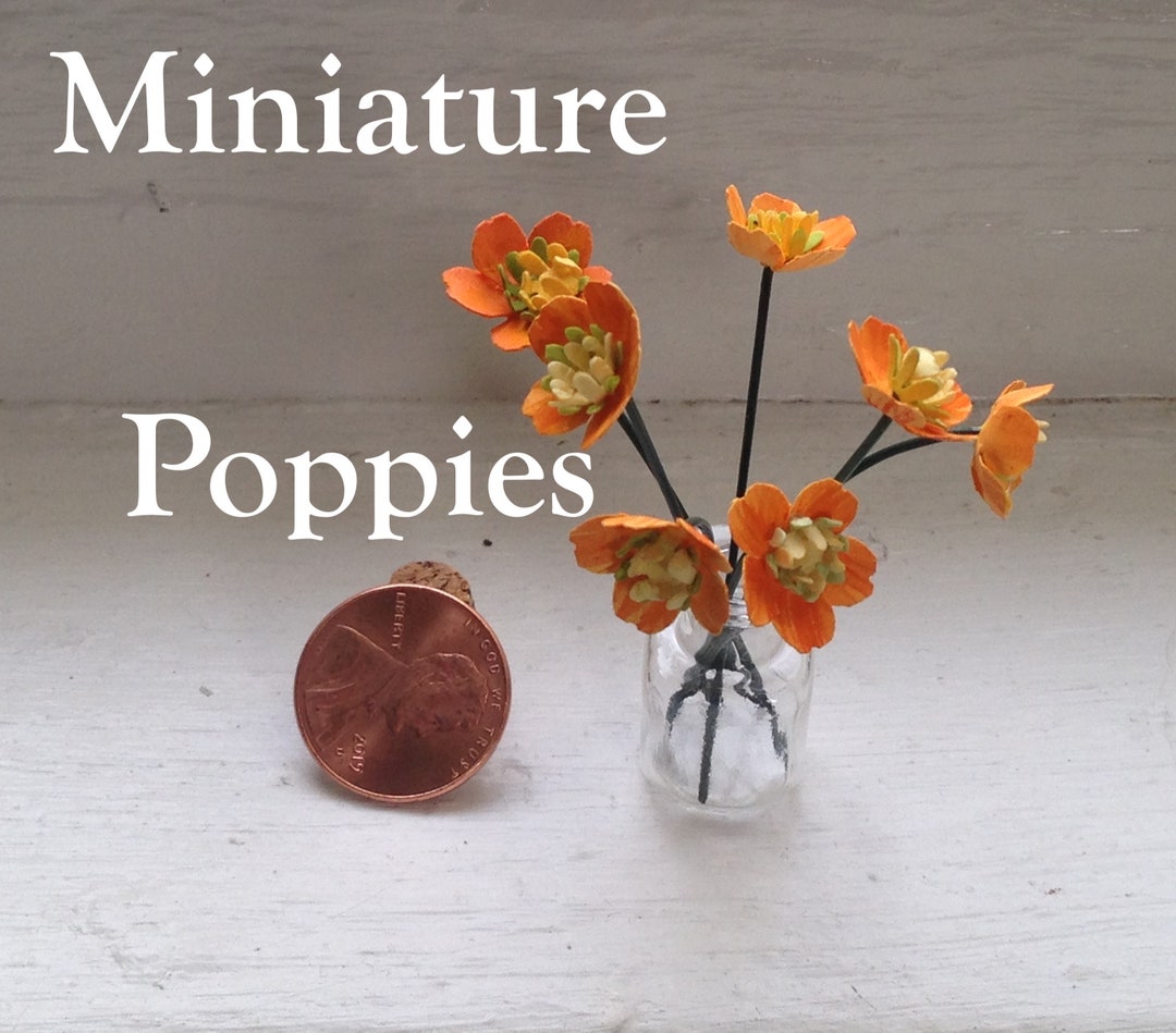 DIY Kit Miniature Poppy Paper Flower 1:12 Scale Free Video Tutorial - Etsy