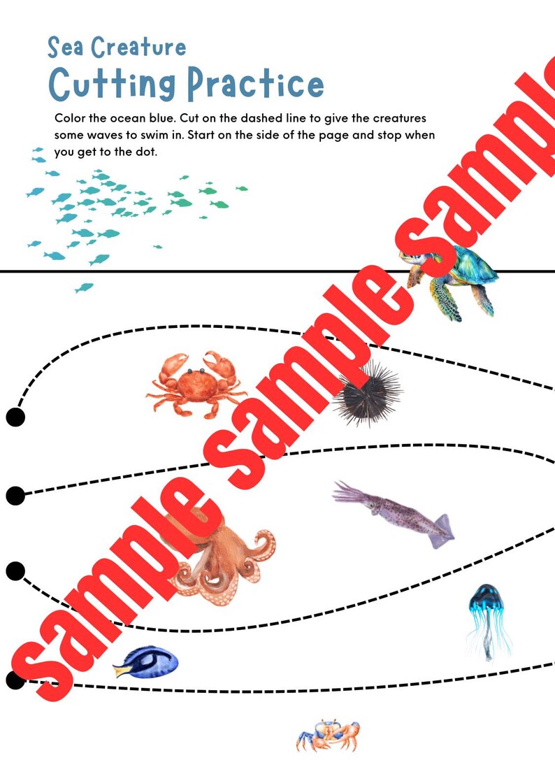 My Blue Boat (BFIR) Worksheets - Etsy