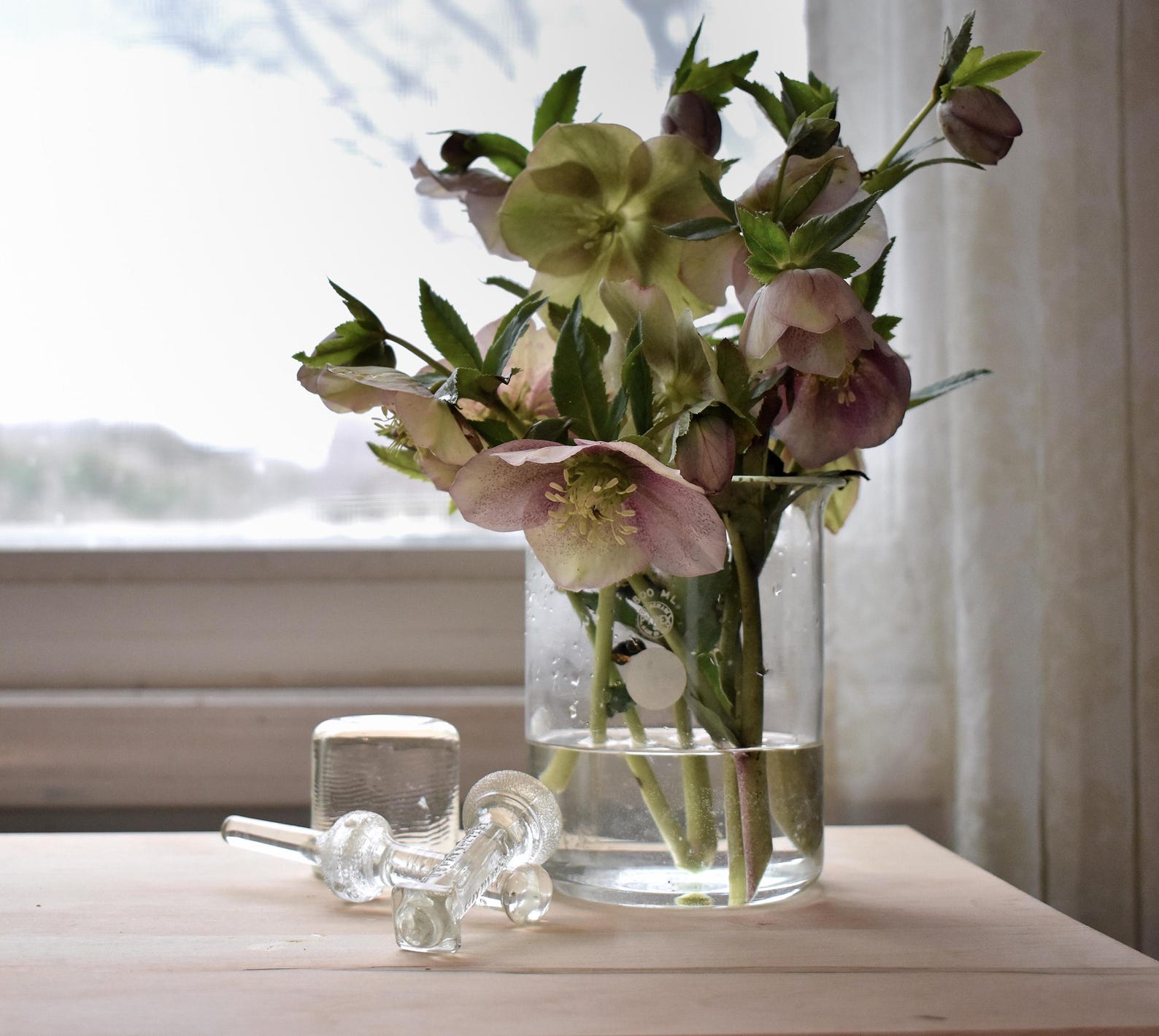 Retro Pyrex Science Beaker- Unique Flower Vase - Etsy