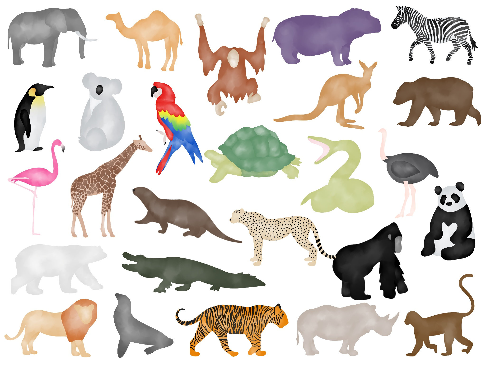 Zoo Animals Clip Art