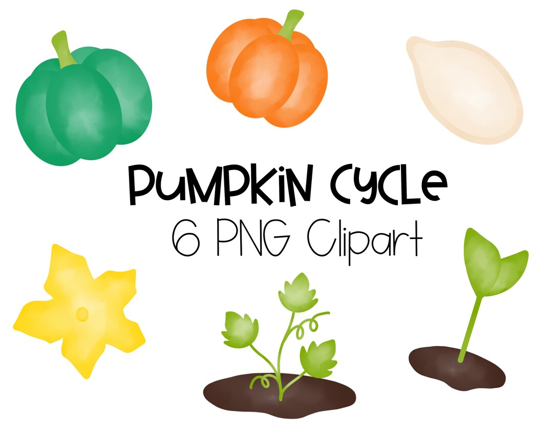 Watercolor Pumpkin Life Cycle Clip Art Bundle - Etsy