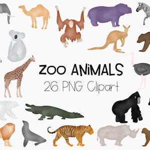 Zoo Animals PNG Clip Art Images Bundle - Etsy UK