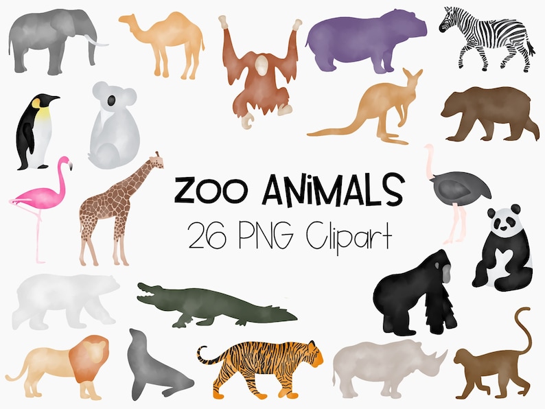 Zoo Animals PNG Clip Art Images Bundle - Etsy