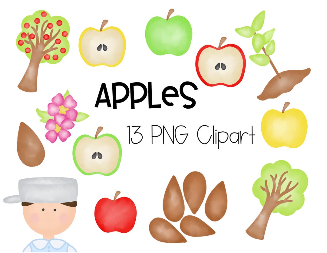 Watercolor Apples Life Cycle Clip Art Bundle - Etsy