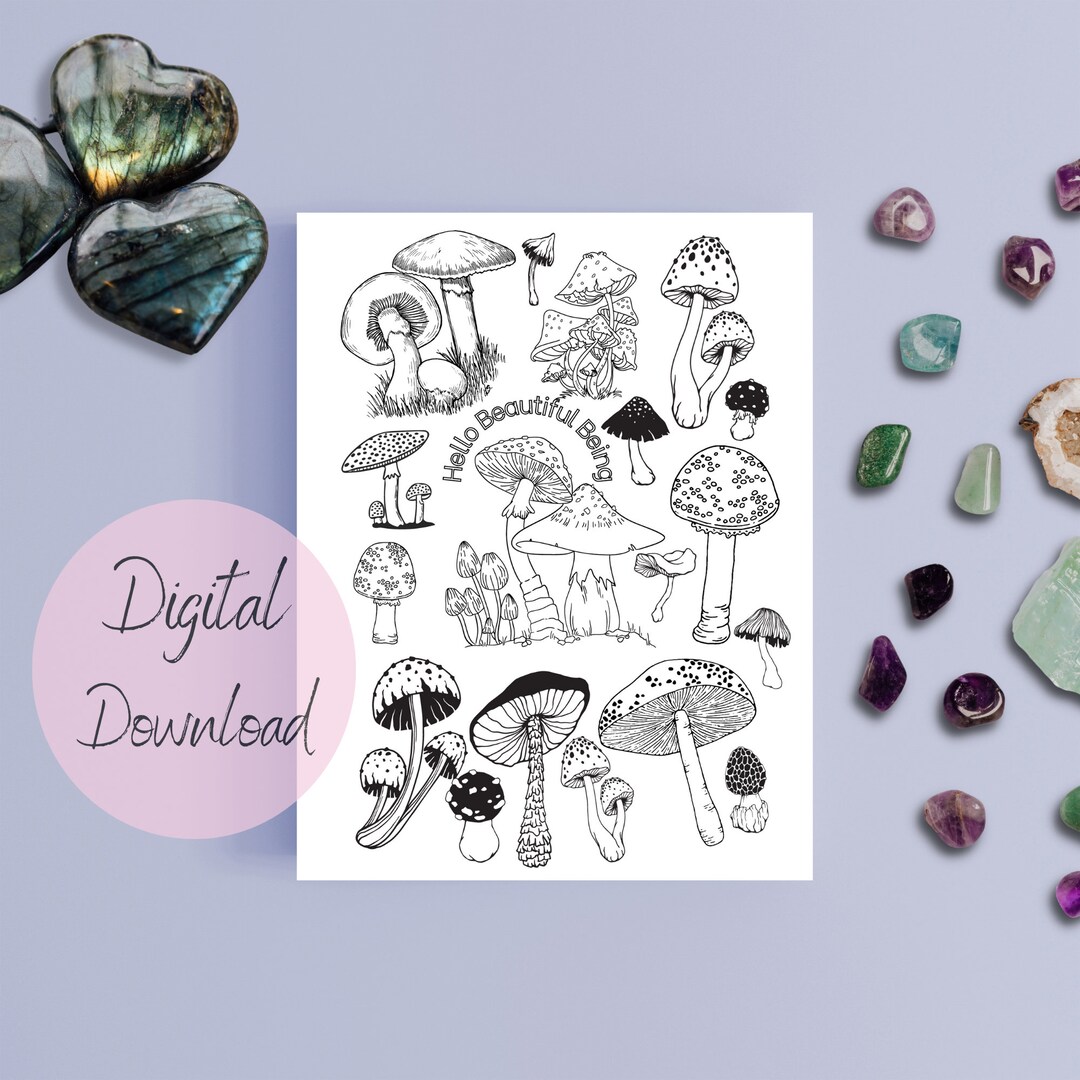 Toadstool Mushroom Witch Colouring Page Digital Downloadable Print at ...