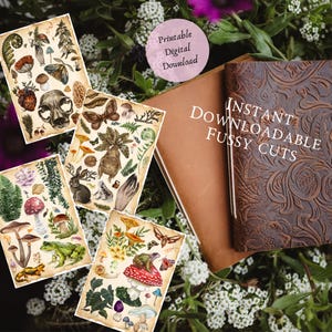 US Size • Goblincore Ephemera Printable Set Series A • 6 Pages • Frogs ...