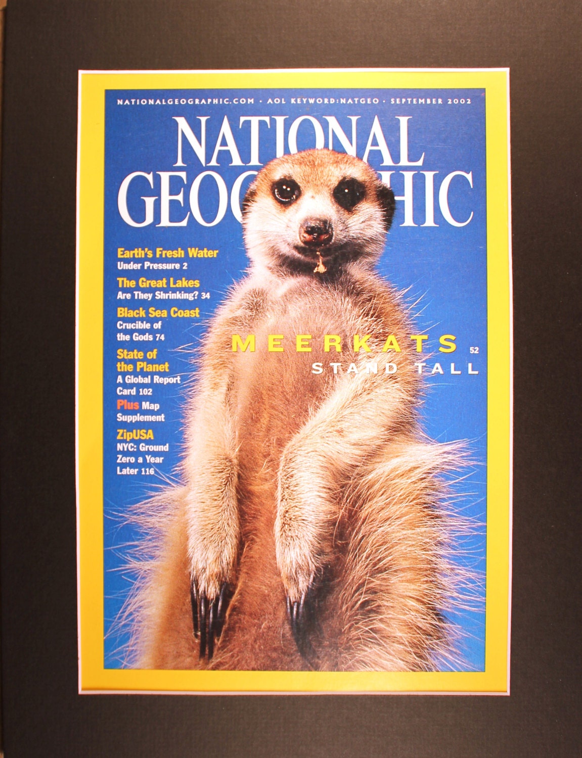 National Geographic Magazine Cover Animals