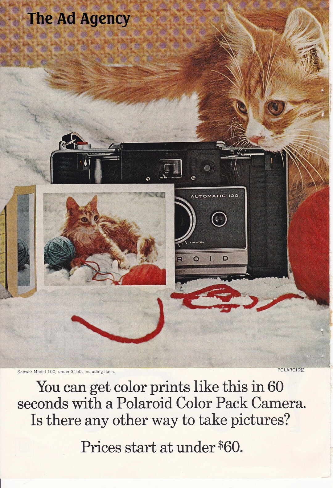 1966 Polaroid Color Pack Cat Vintage Advertisement/ Instant Camera ...
