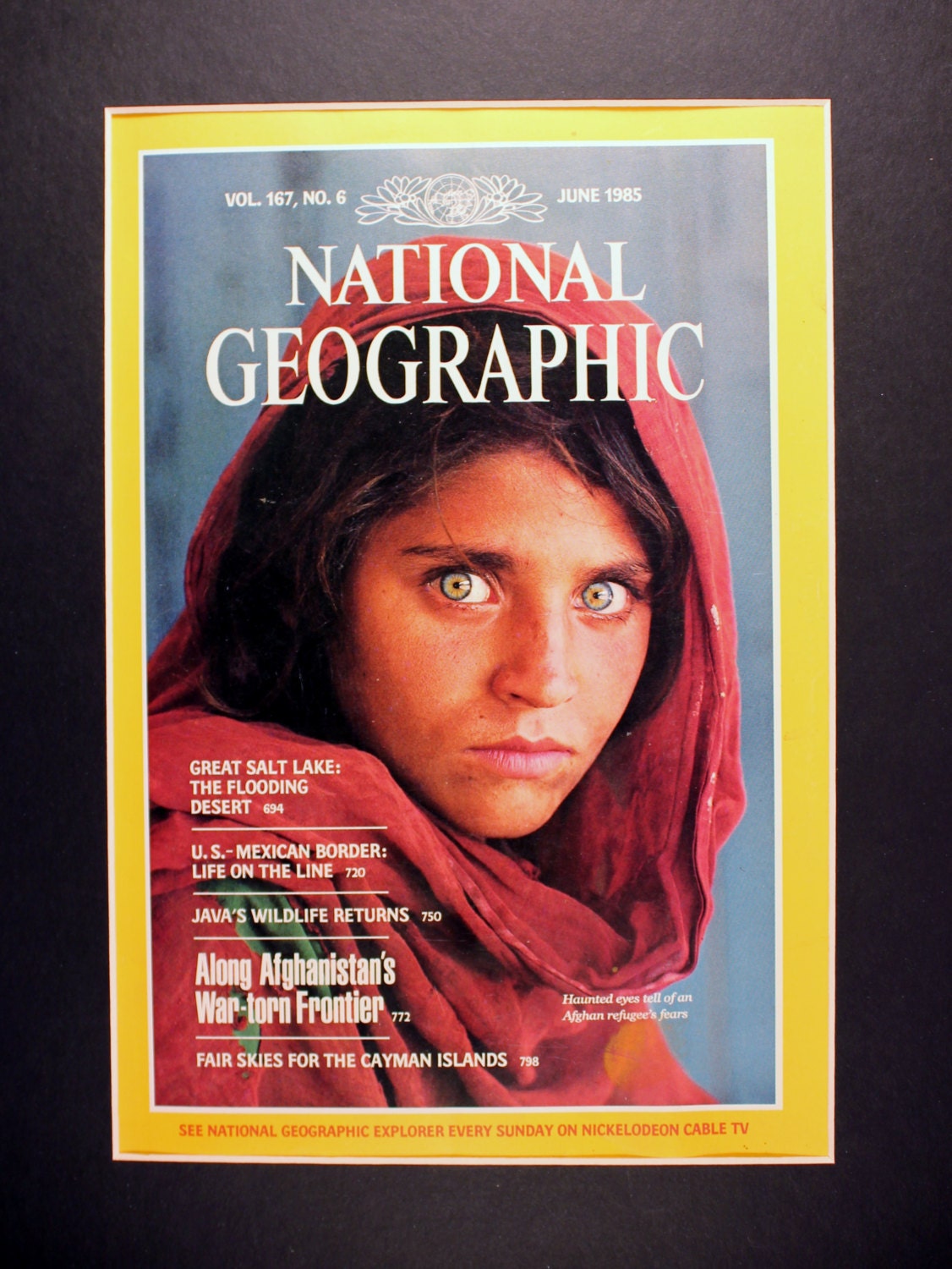 1985 The Afghan Girl The National Geographic National - vrogue.co 1985 The Afghan Girl The National Geographic National - vrogue.co