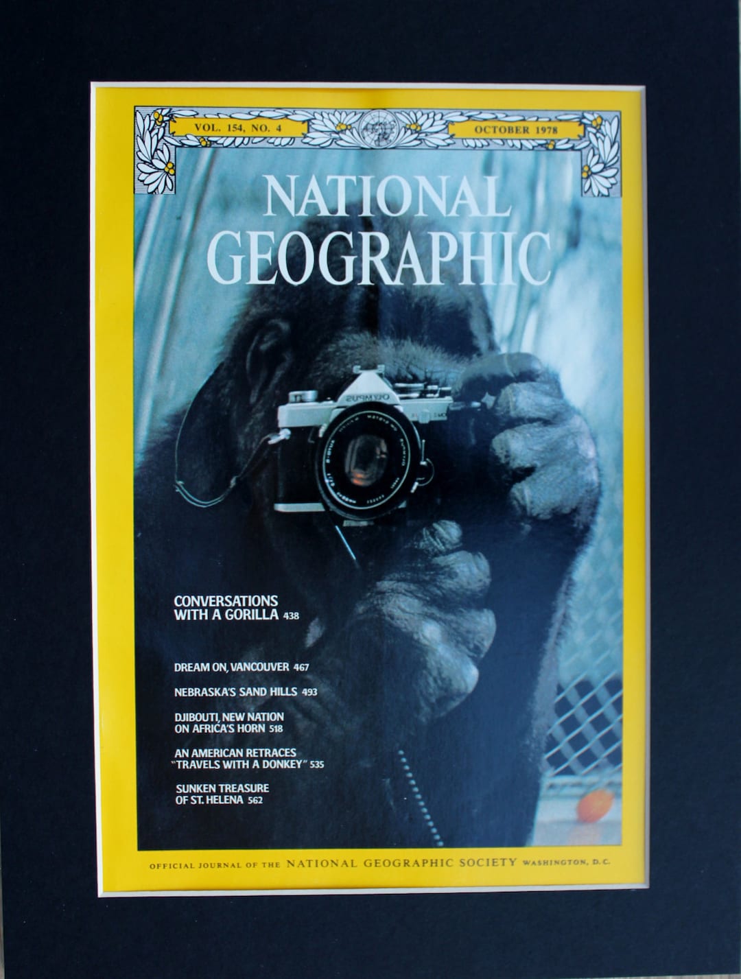 Gorilla Photographer Koko National Geographic Cover - Magazine ...