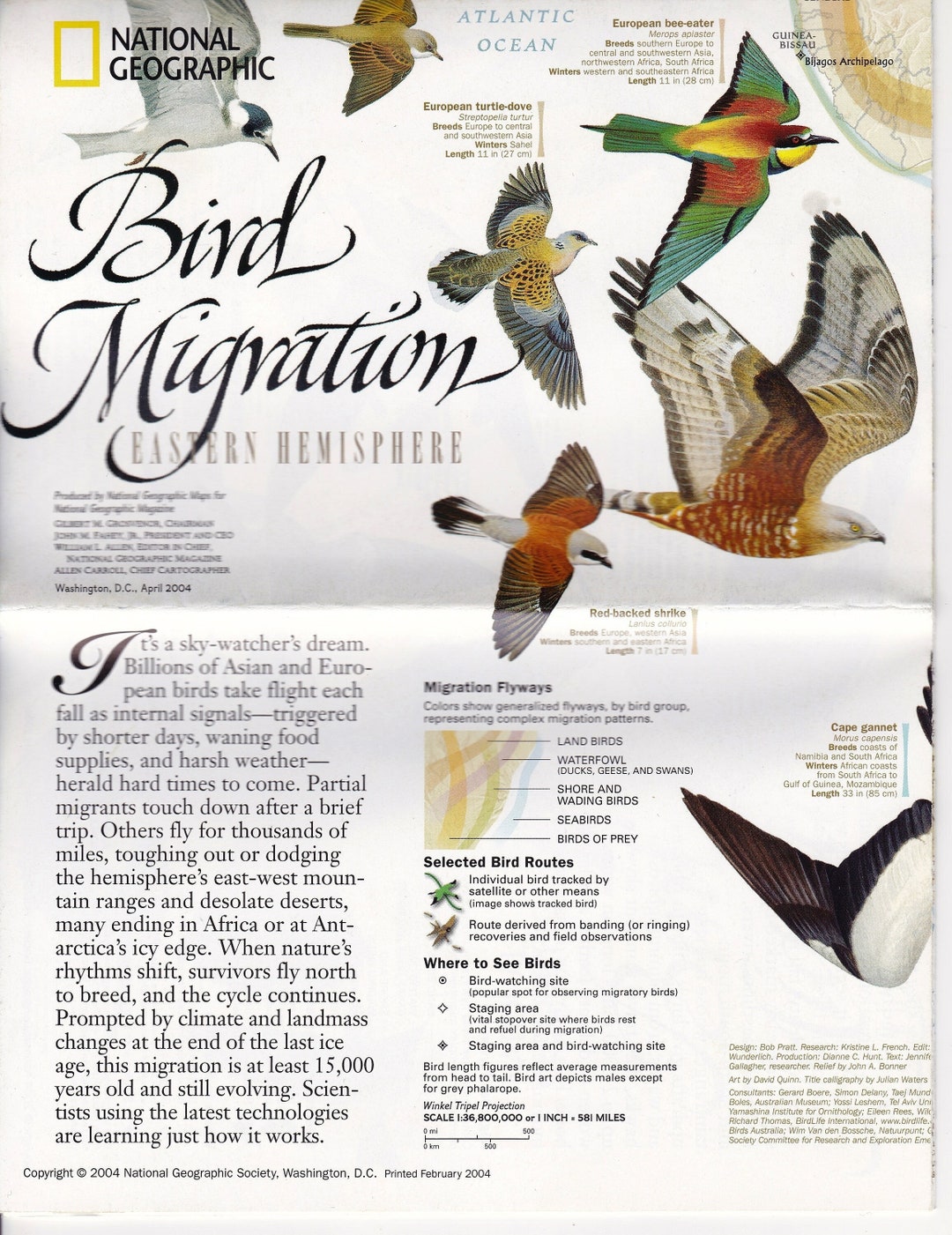 Bird Migration Eastern Hemisphere & Bird Migration Western Hemisphere ...