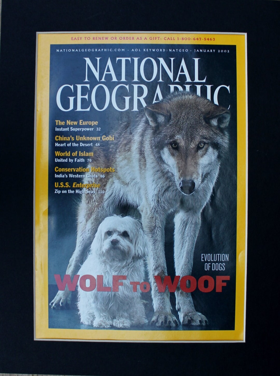 Wolf to Woof National Geographic Cover - Dogs - Pets - Evolution of ...