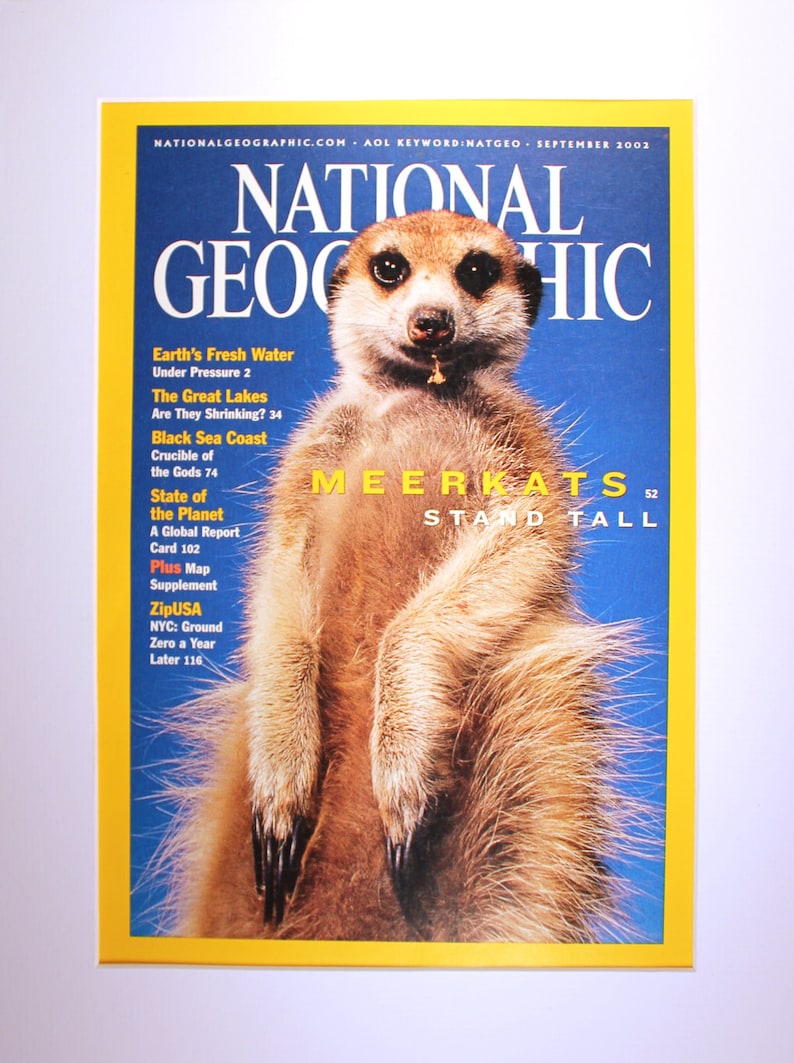Meerkat National Geographic Cover Matted Magazine/ Magazine ...