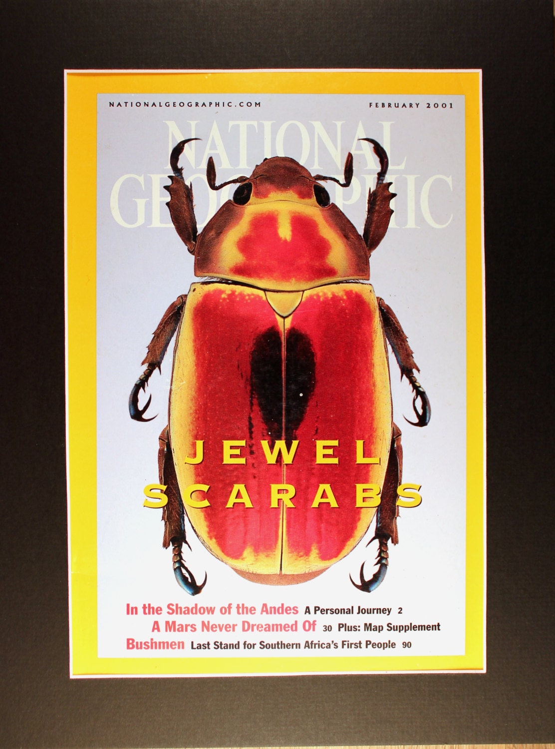 Jewel Scarabs National Geographic Cover With Mat/ Photographic | Etsy