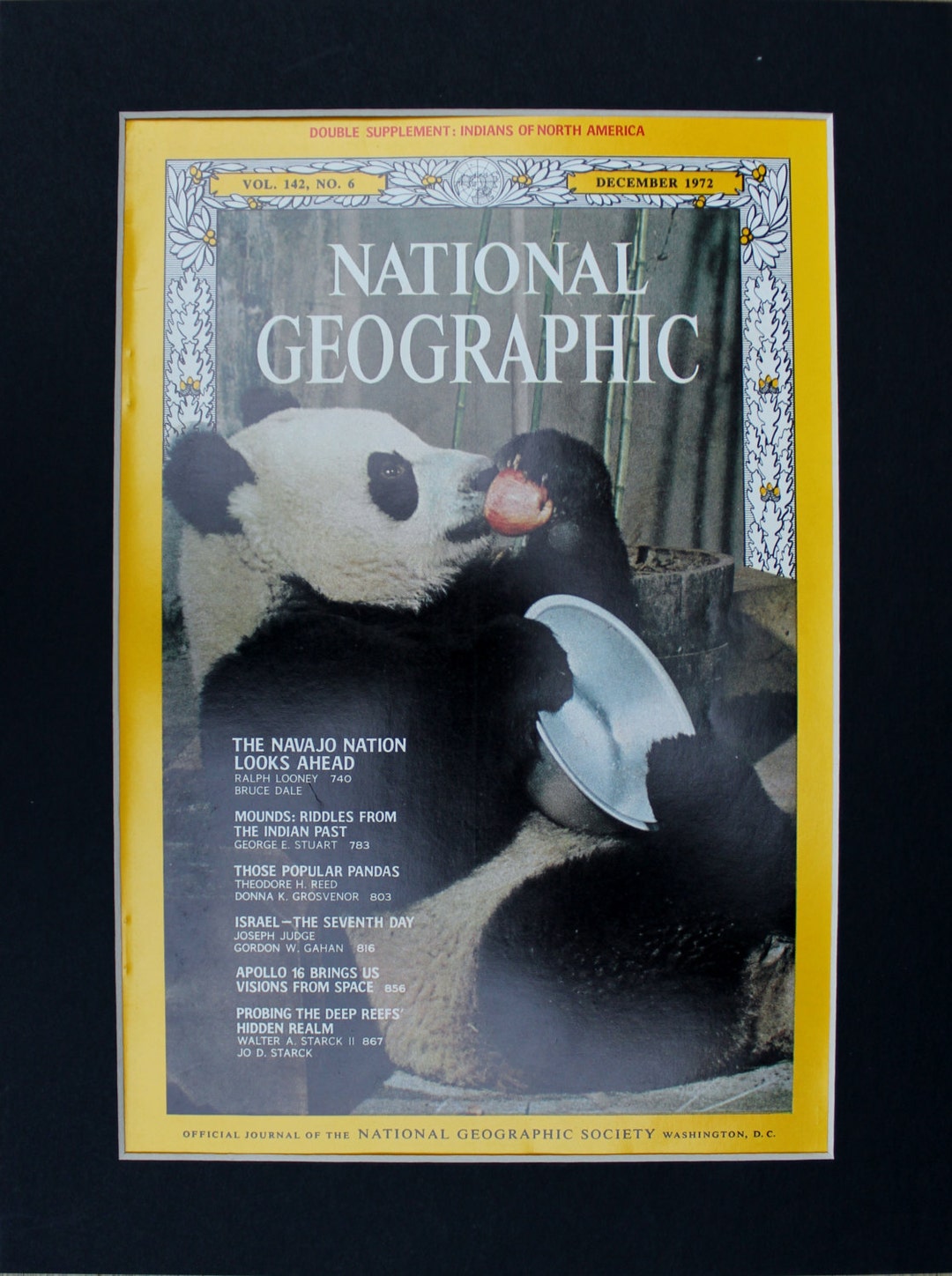Panda National Geographic Cover - Magazine Photographic Art/cool Gift ...