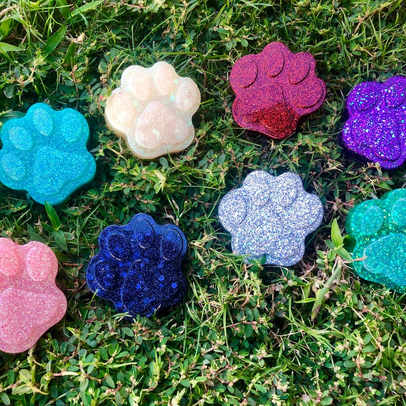 Paw Print Magnet - Etsy