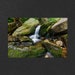 Glen Onoko Falls Print - Photo of a Forest Waterfall in Lehigh Gorge ...
