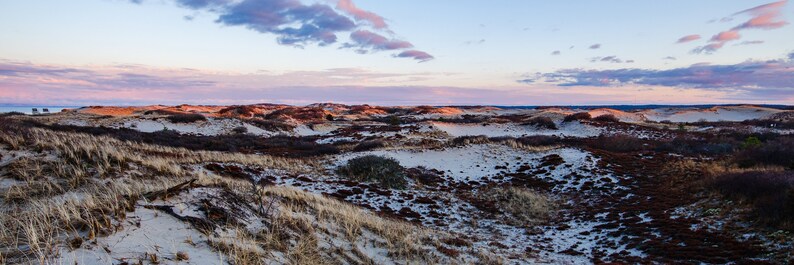 Sandy Neck Sand Dunes Sunset Canvas Wrap panorama photo of | Etsy