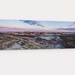 Sandy Neck Sand Dunes Sunset Canvas Wrap Panorama Photo of Sunset Over ...