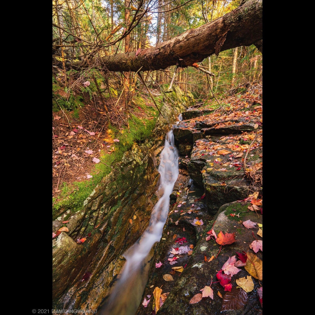 Mini Flume Foliage 5x7 Note Card - Photo of a Brook Falling Through a ...