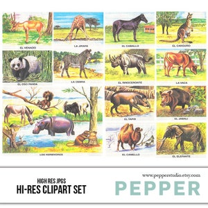 Herbivores - Retro Clipart - Vintage Illustrations, Spanish Vocabulary ...