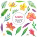 Isadora Watercolor Tropical Flowers Clipart - Hi Res Printable Hand ...