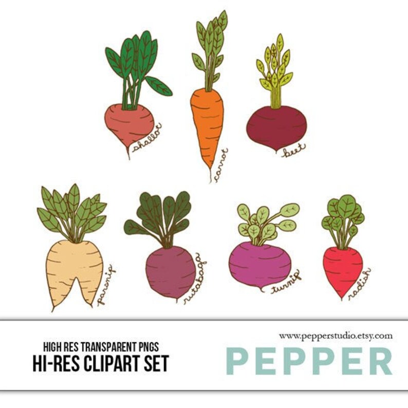 Root Vegetables Illustrated Clipart, Scrapbooking Doodles, Food, Garden ...