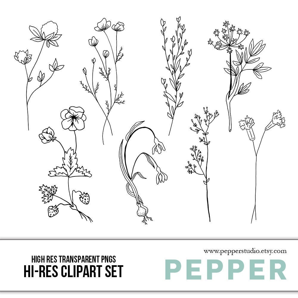 Wildflower Doodle Clipart Set - Hi Res Printable Flower Stem Icons ...
