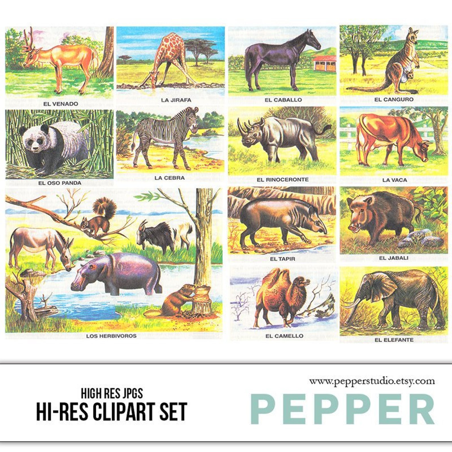 Herbivores - Retro Clipart - Vintage Illustrations, Spanish Vocabulary ...