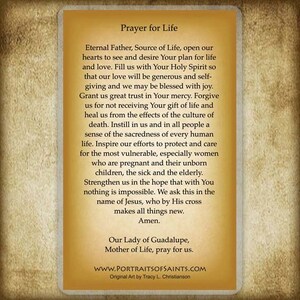 Giver of Life Holy Card for Prolife - Etsy