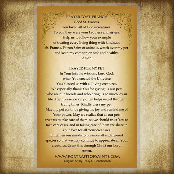 St. Francis of Assisi (B) Prayer Card, Franciscan - Etsy