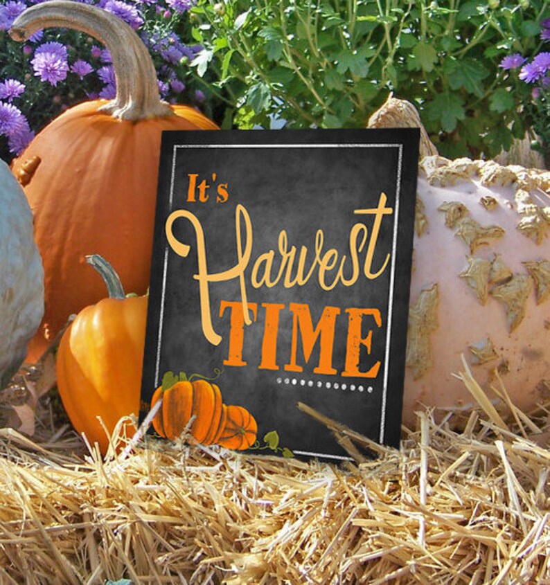 Fall Home Decor PRINTED It's Harvest Time Chalkboard | Etsy